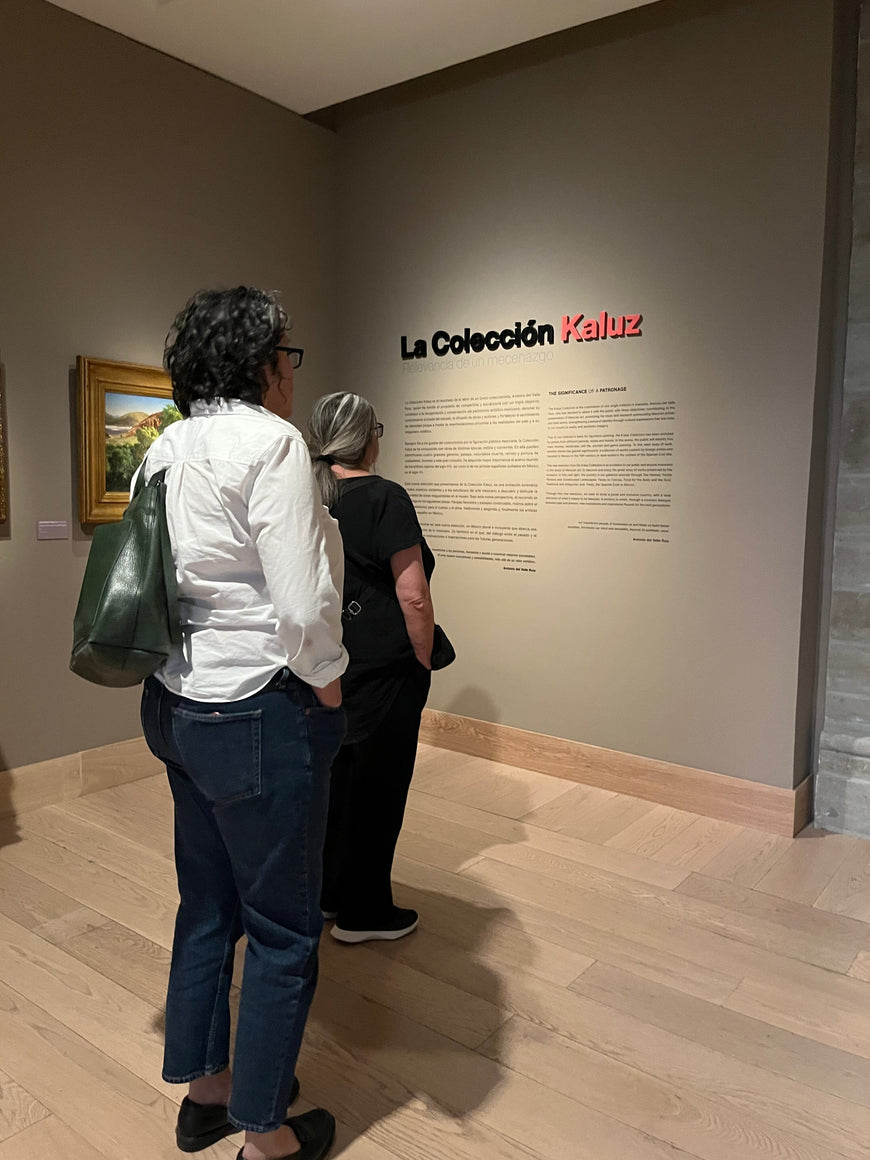 Mexico City Original Textile Trip-November 2025 | heritagebyhand